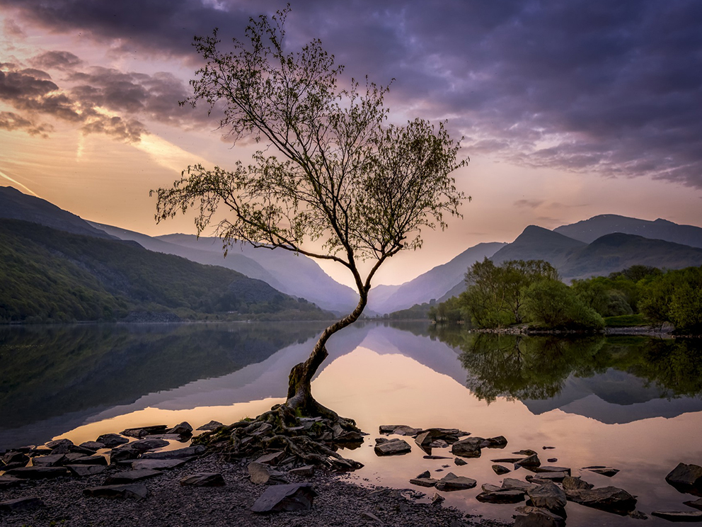 Newzy – Multipurpose Blog Template